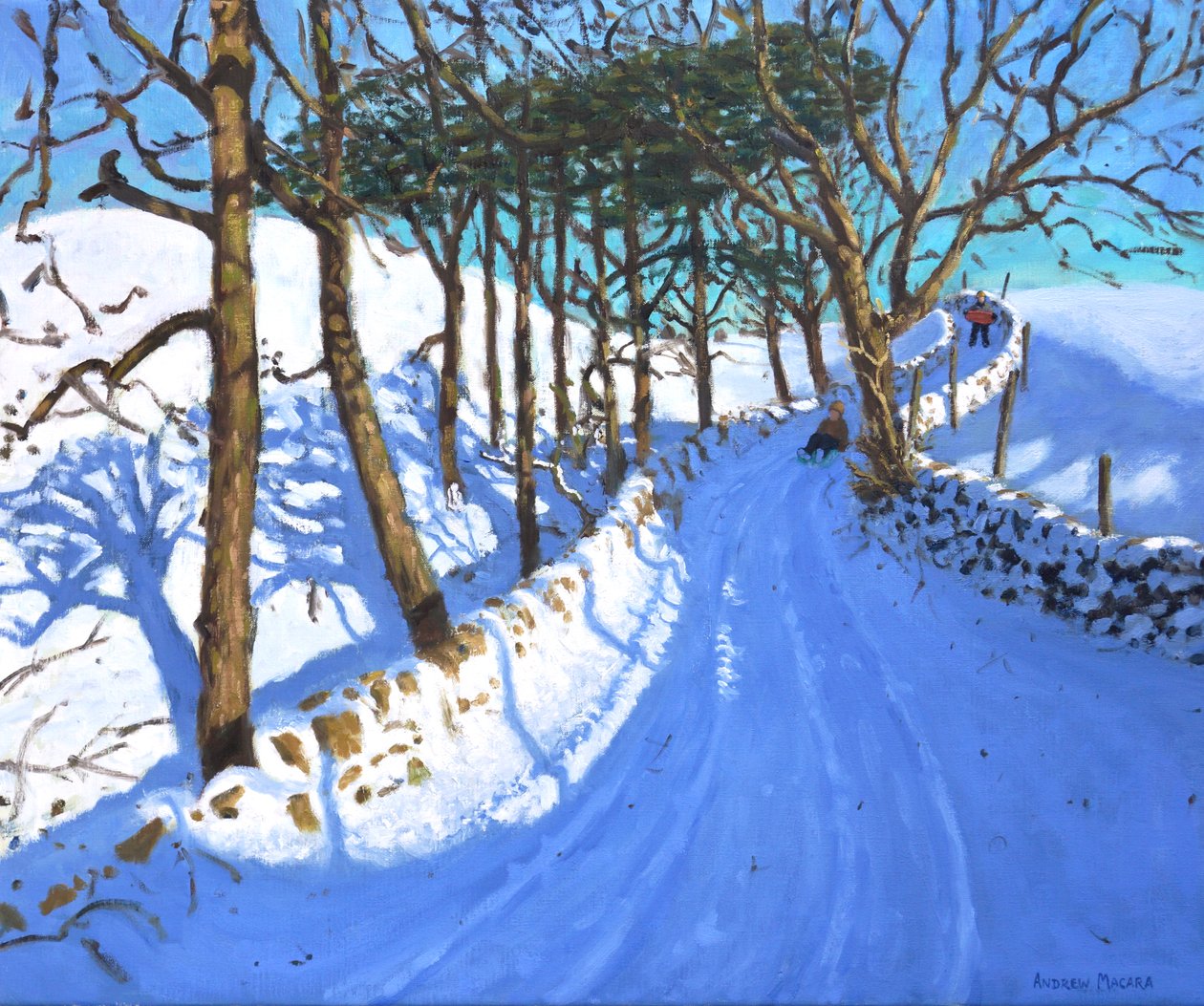 Sledging in the Derbyshire Peak District by Andrew Macara