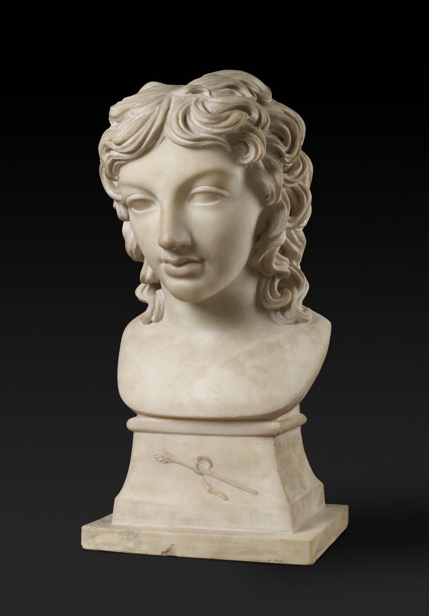 Bust portrait of Prince Henry Lubomirski in the character of Bacchus, c ...