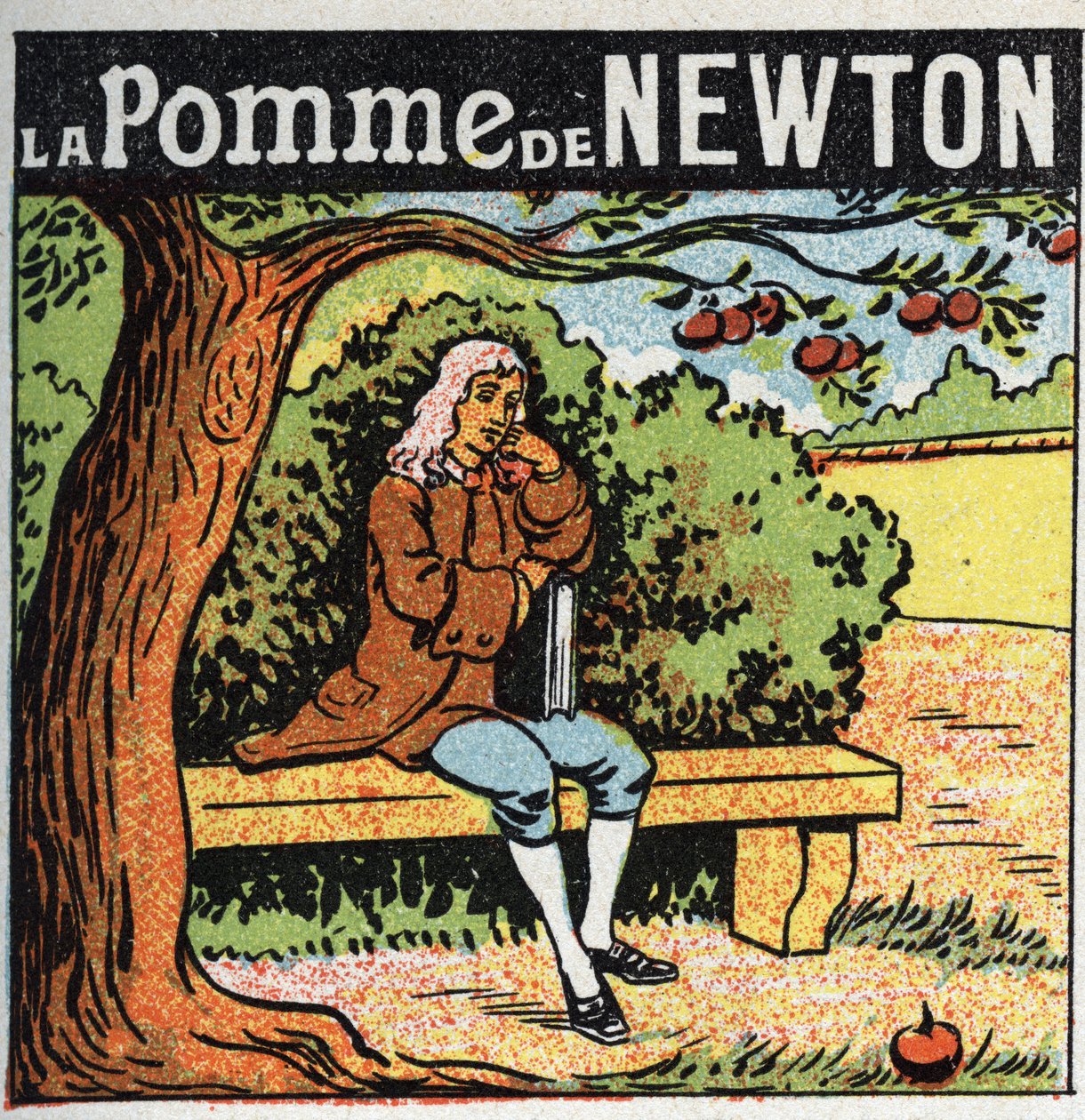 Isaac Newton Apple Falling Famous Apple Incident Isaac Newton