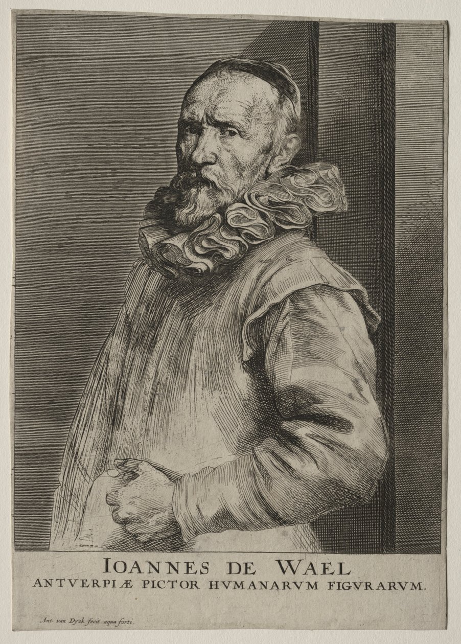 Portrait of Jan de Wael by Anthony van Dyck: Fine art print
