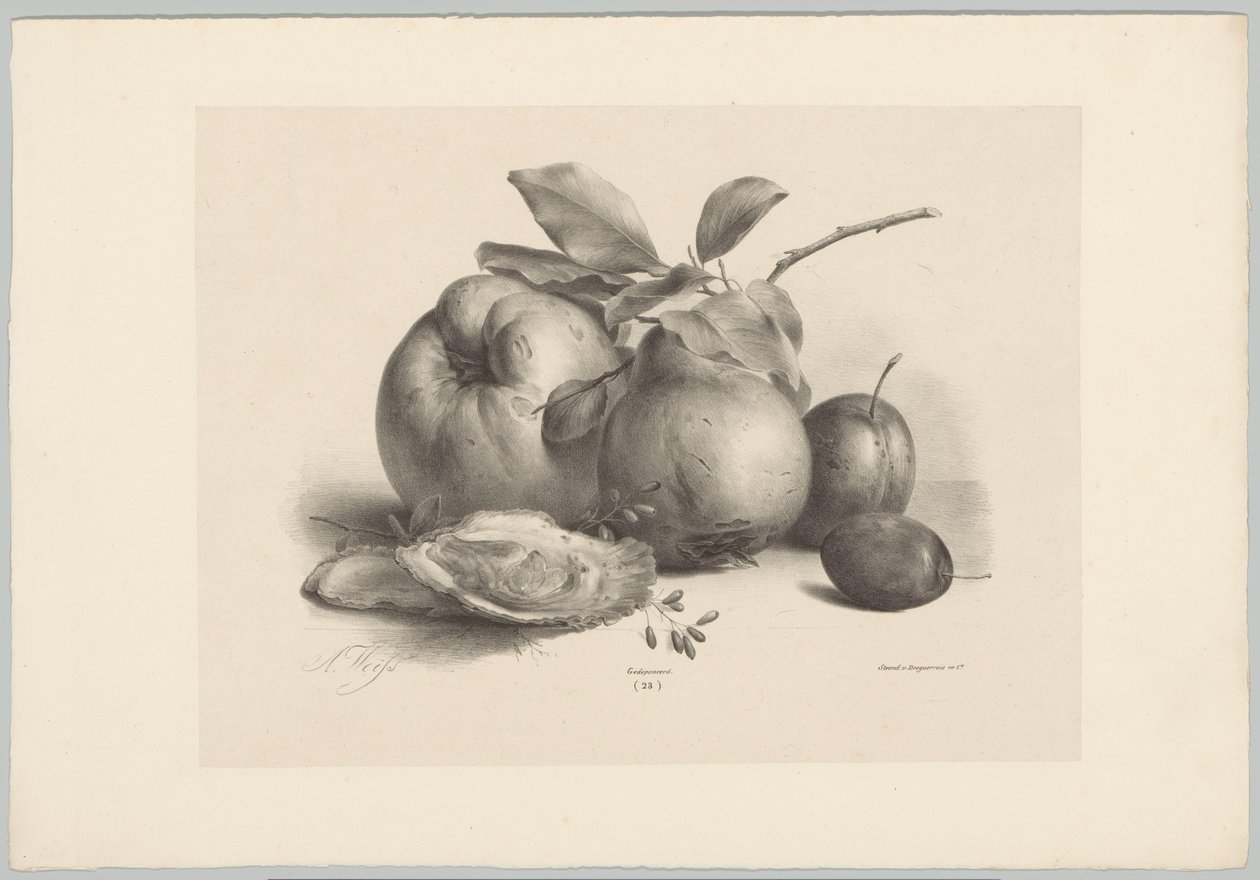 Fruit, Plums, and Oysters by Anton Weiss: Fine art print