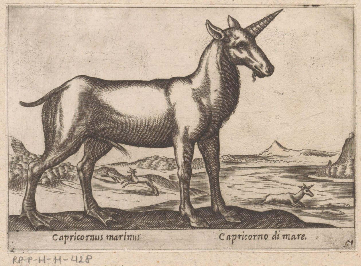 Capricorn as Sea Creature (Capricornus marinus) (Animals and Mythical ...