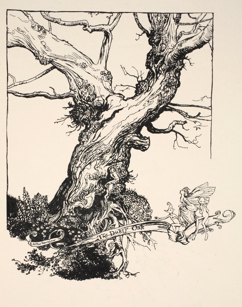 The Duke's Oak, Illustration from 'Midsummer Night's Dream' by William ...