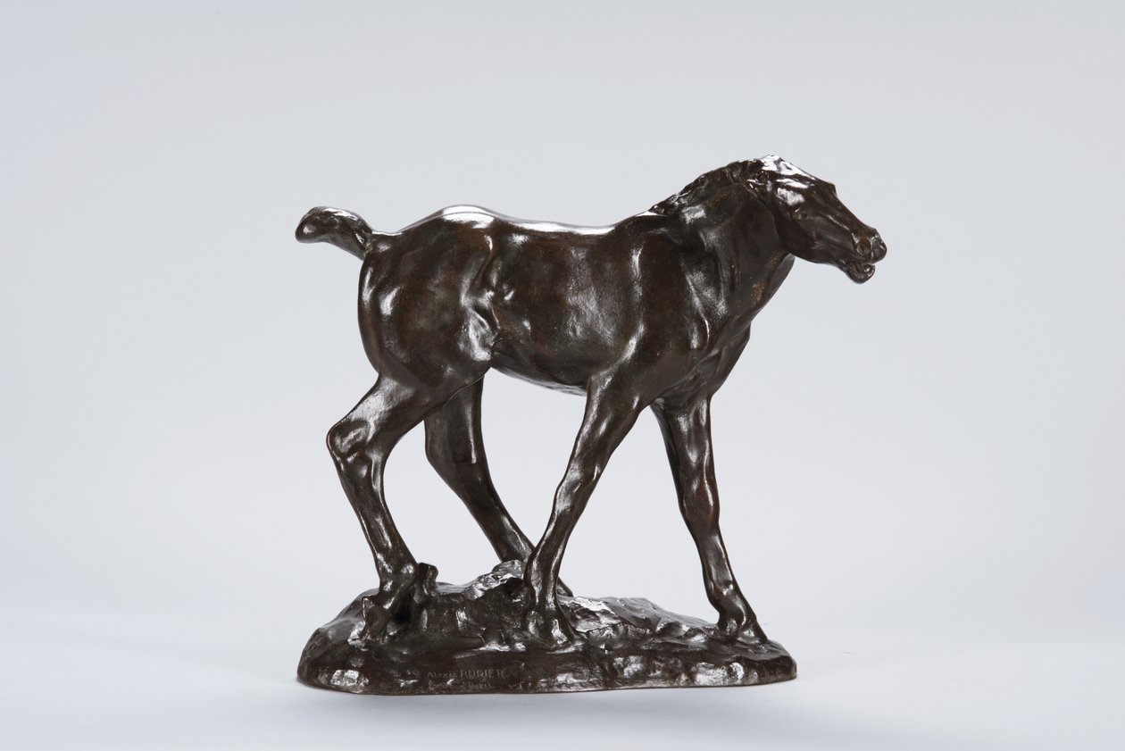 Colt by Arthur Putnam: Highest-quality art reproduction