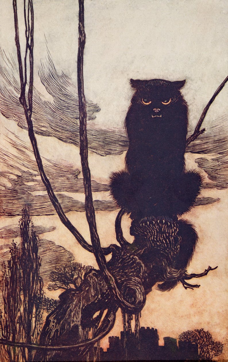 By day she made herself into a cat by Arthur Rackham