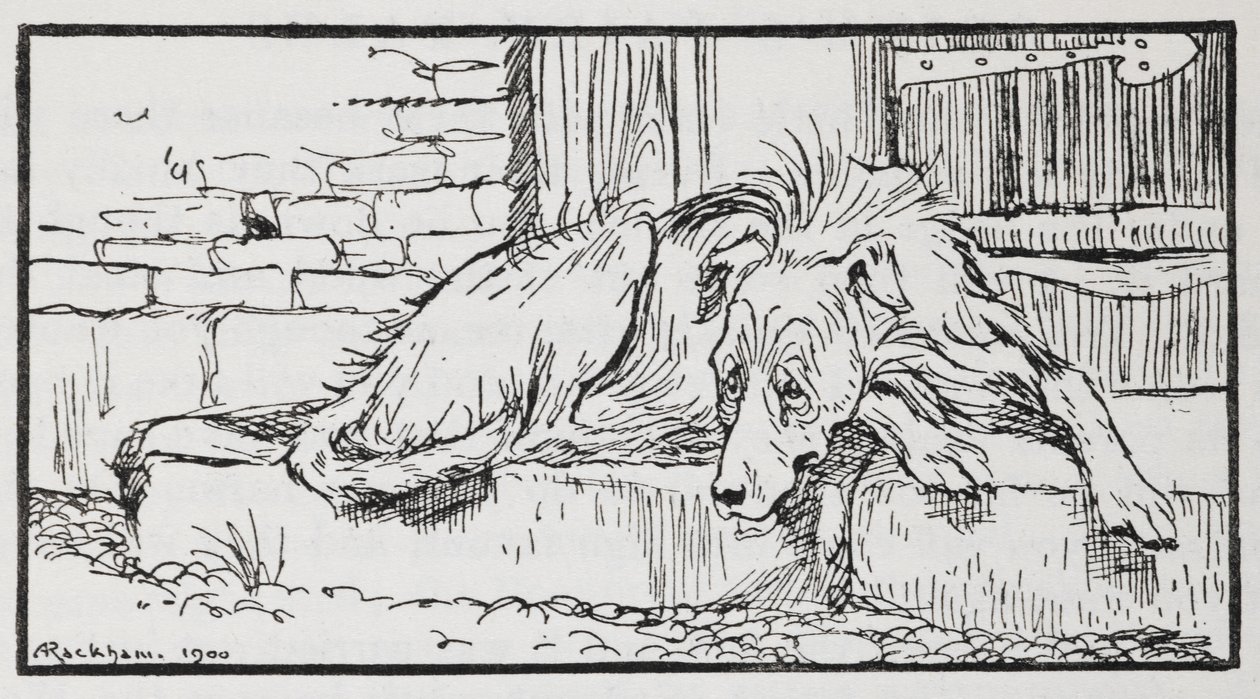 Illustration from Old Sultan of a dog by Arthur Rackham