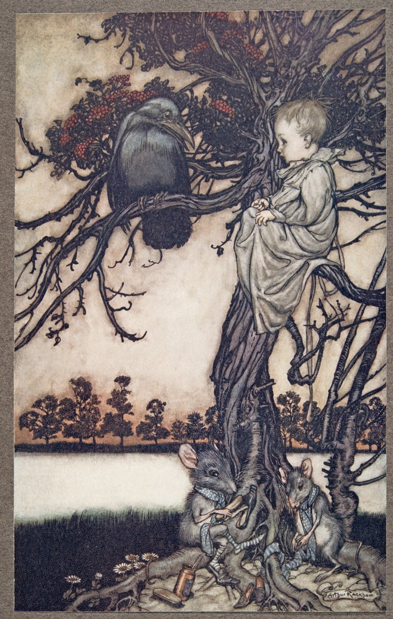 Put His Strange Case Before Old Solomon Caw, from Peter Pan in ...