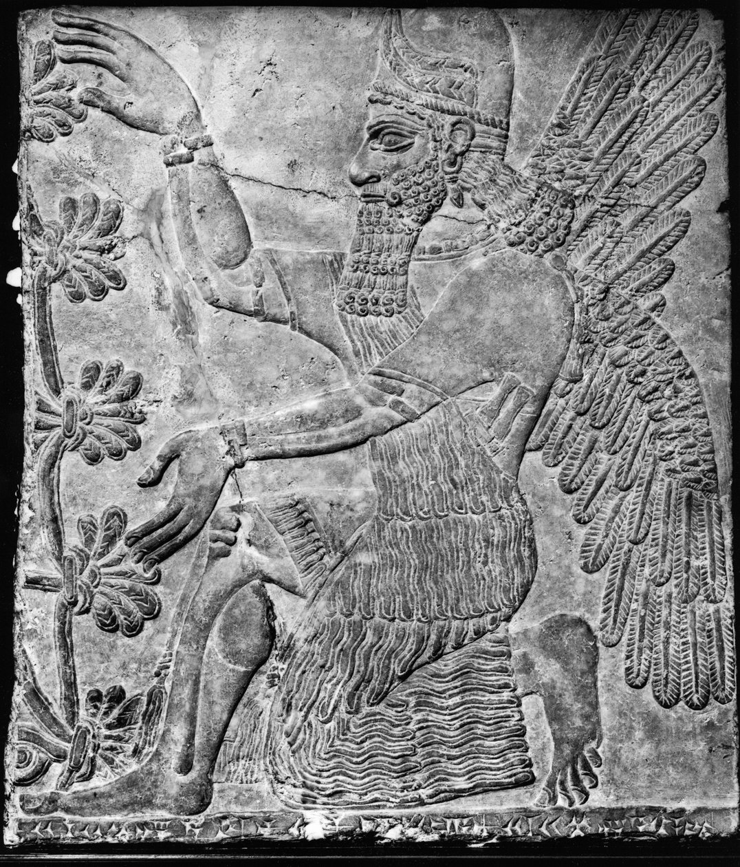 Winged Genie Worshipping the Sacred Tree, from the Palace at Nimrud