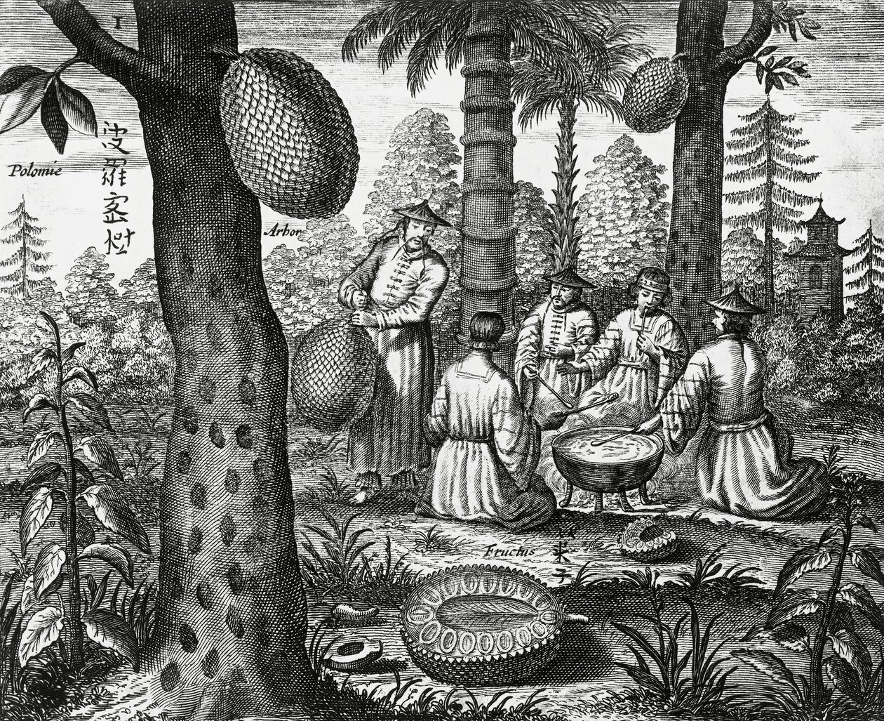 Chinese fruits, engraving from China monuments