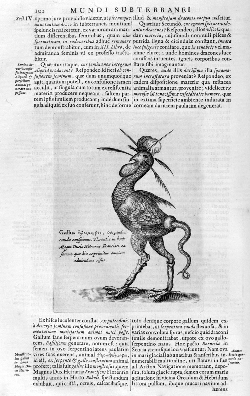 Mythical creatures by Athanasius Kircher: Fine art print