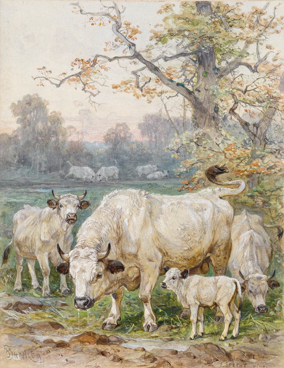 Park Cattle by August Specht: Buy fine art print