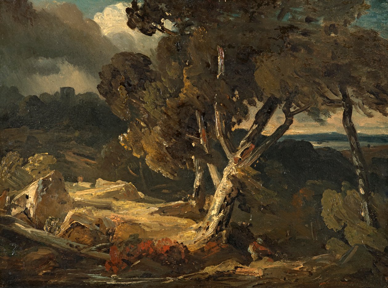 Stormy Landscape by August Seidel: Buy fine art print