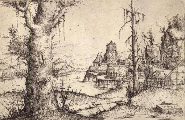 River landscape with a stout tree by Augustin Hirschvogel