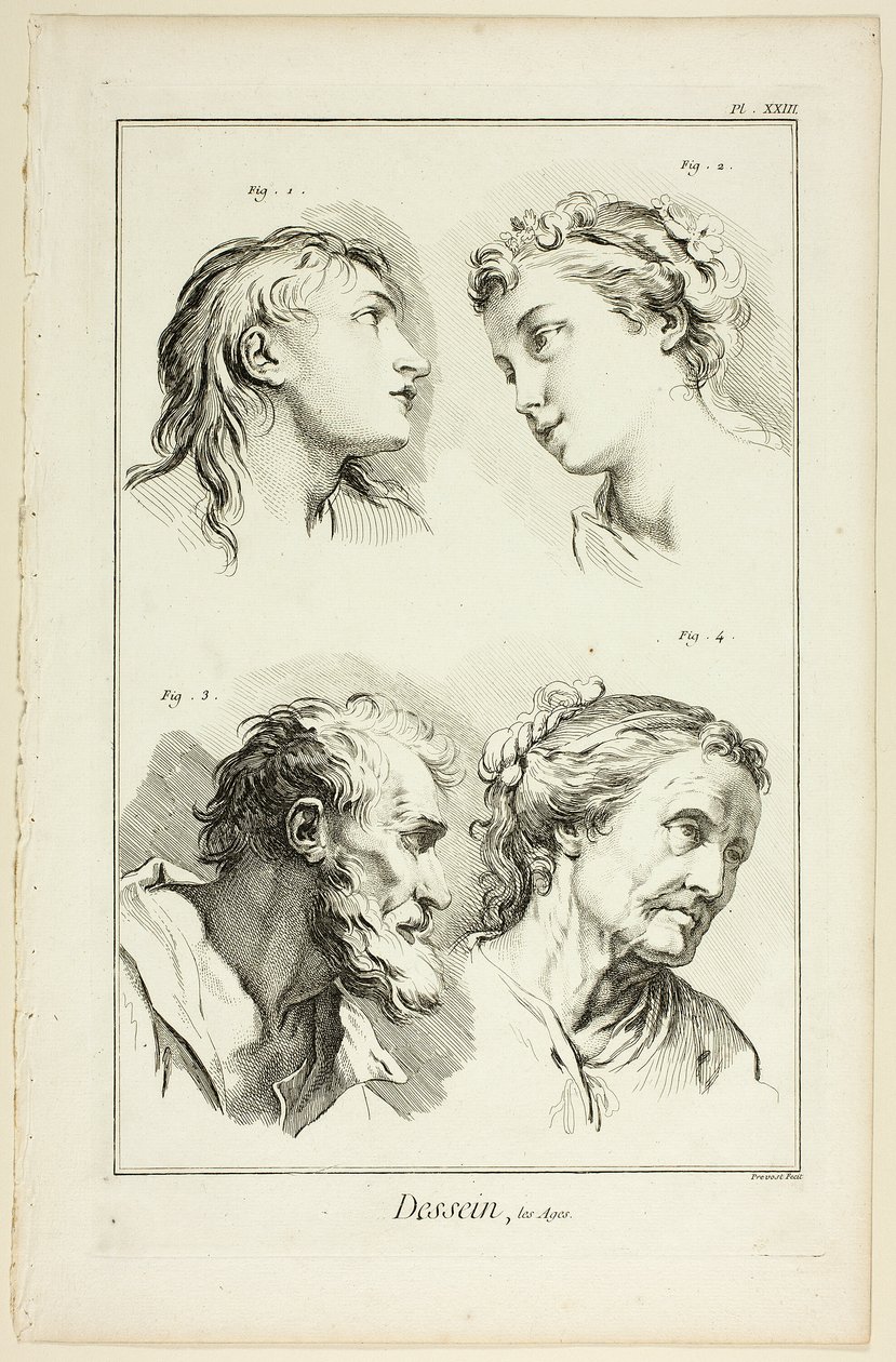 Design: Ages, from Encyclopédie by Benoit Louis Prevost