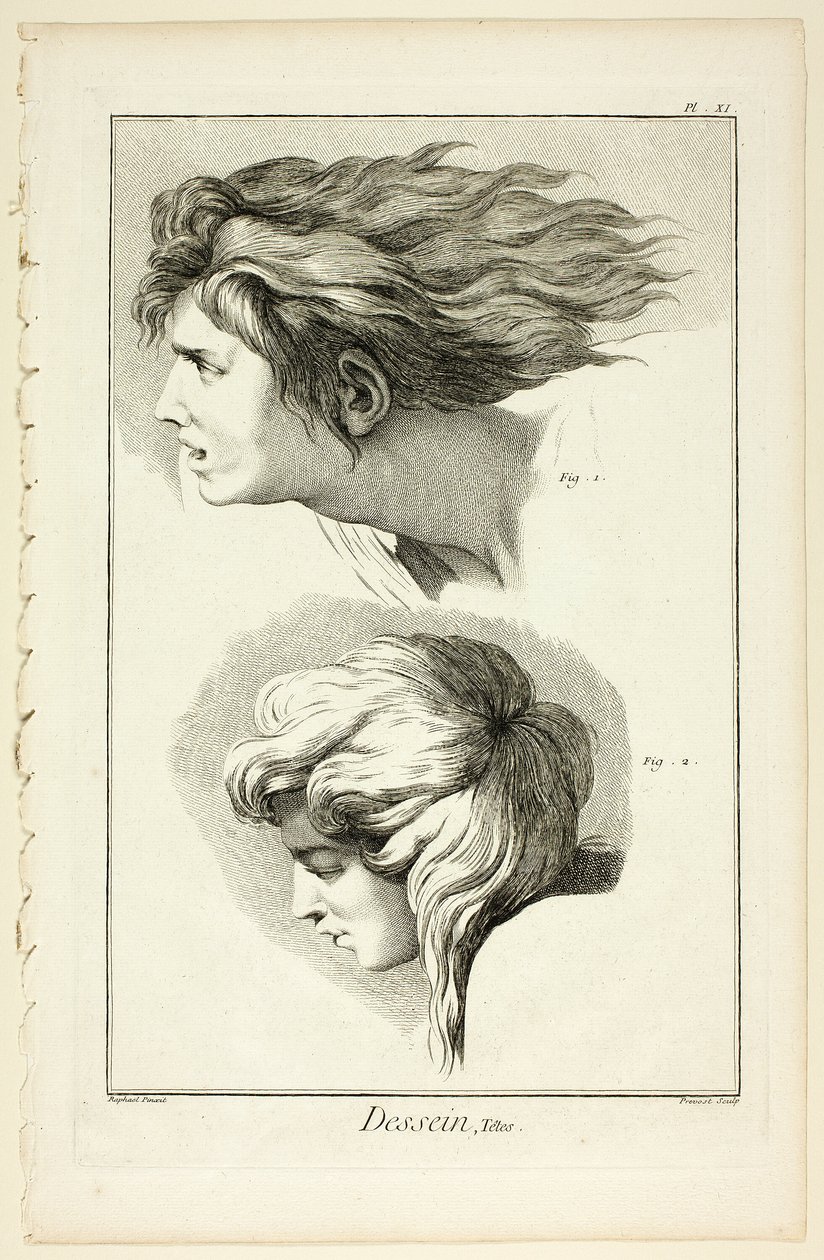 Design: Heads, from Encyclopédie by Benoit-Louis Prevost
