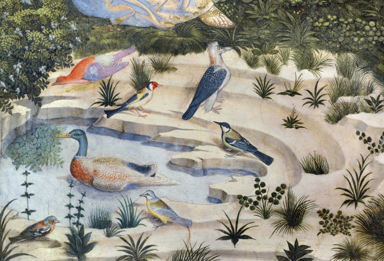 Birds around a pond (detail)