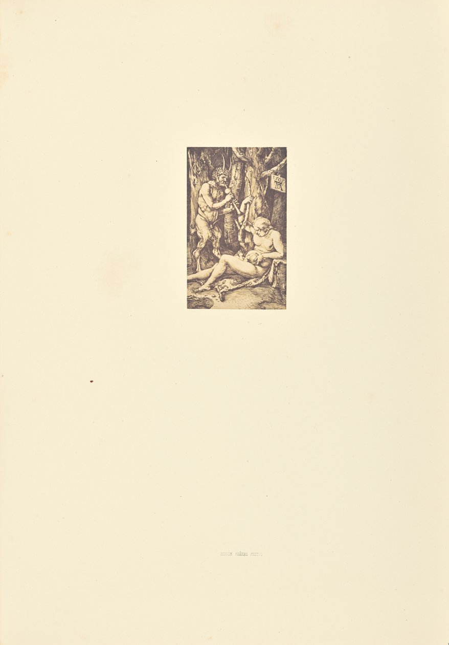 The Family of the Satyr by Bisson Frères: Fine art print