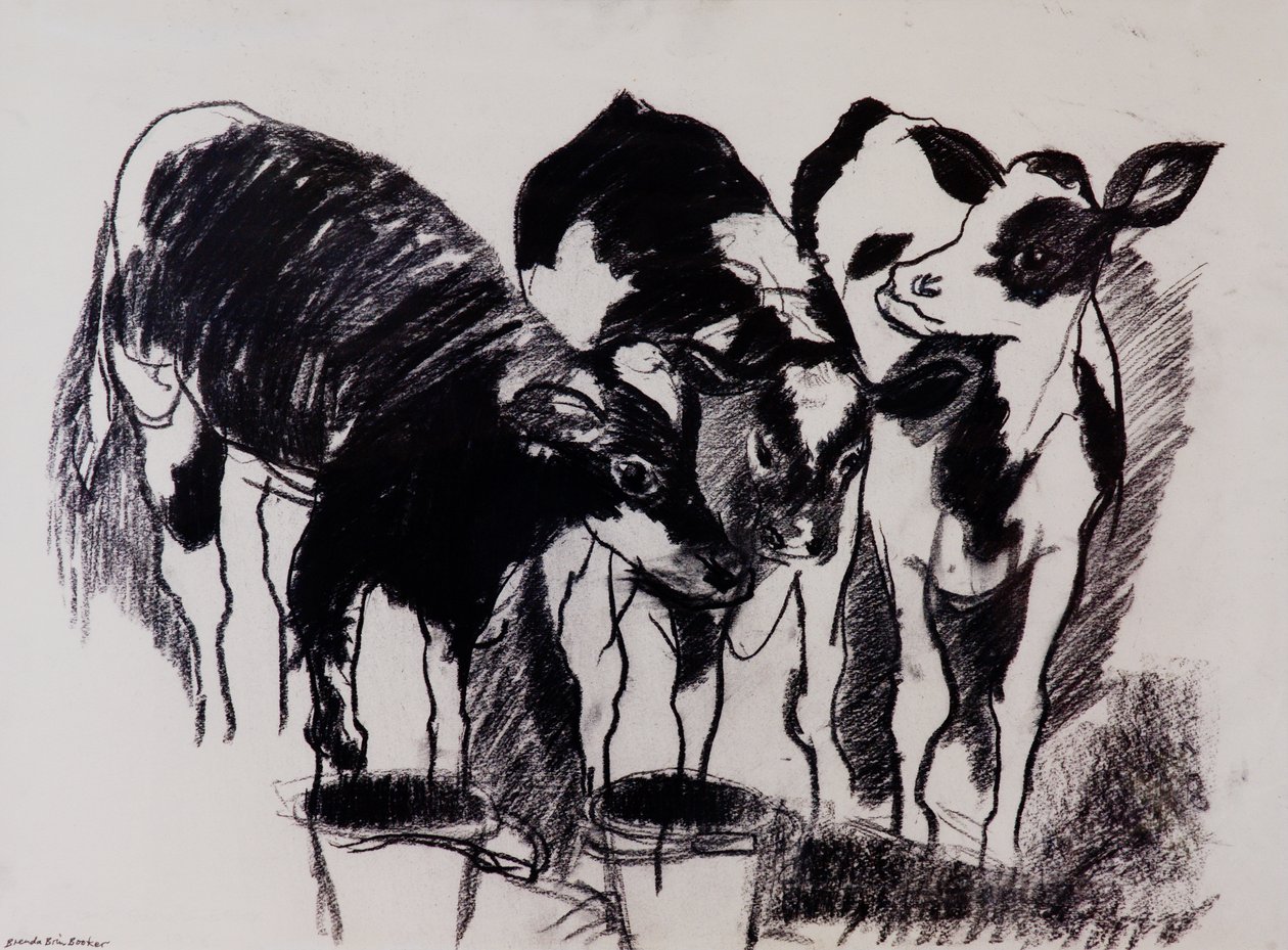 The New Calves by Brenda Brin Booker: Buy fine art print