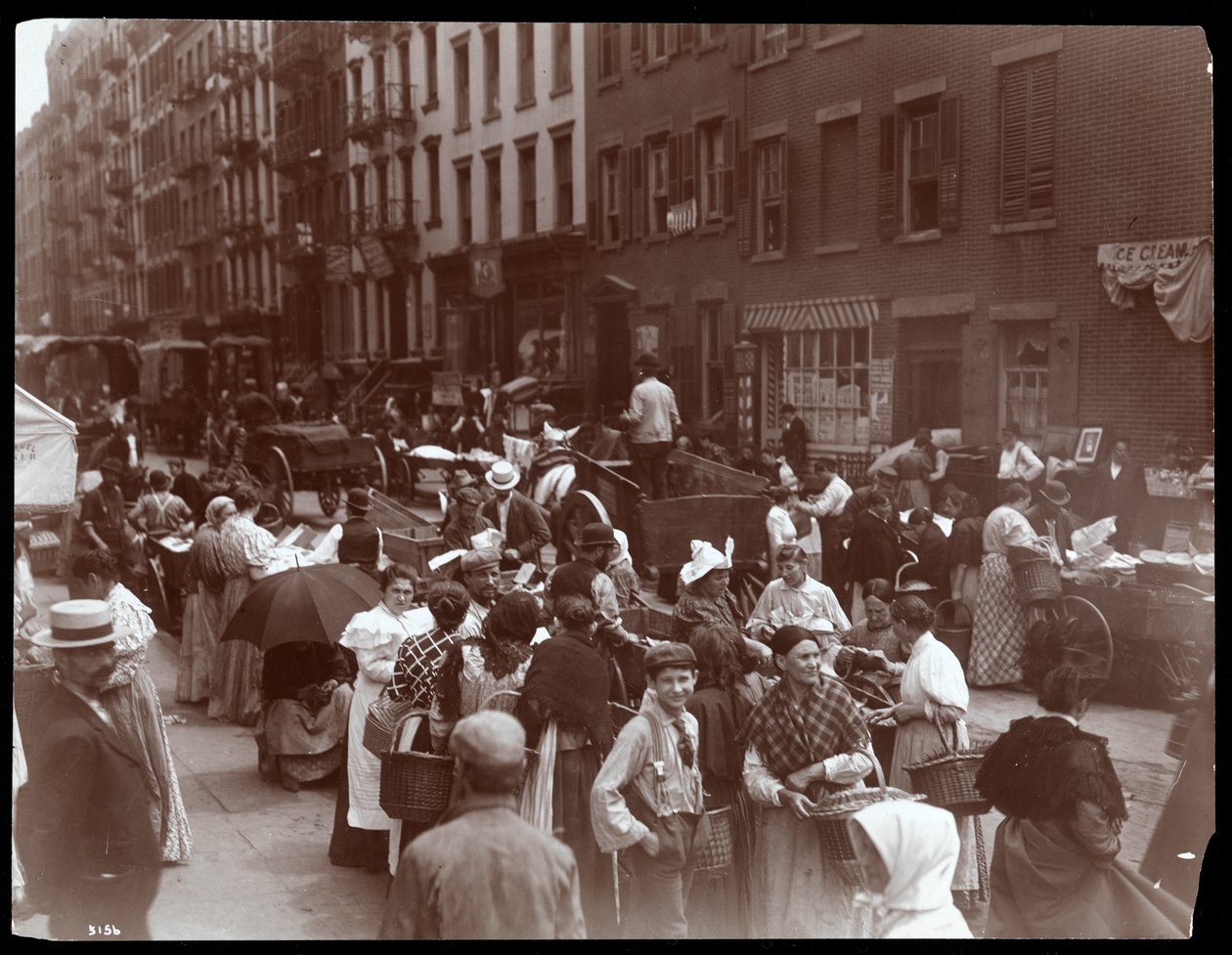 View of the Crowd and Peddlers on Hester Street, New York, 1899
