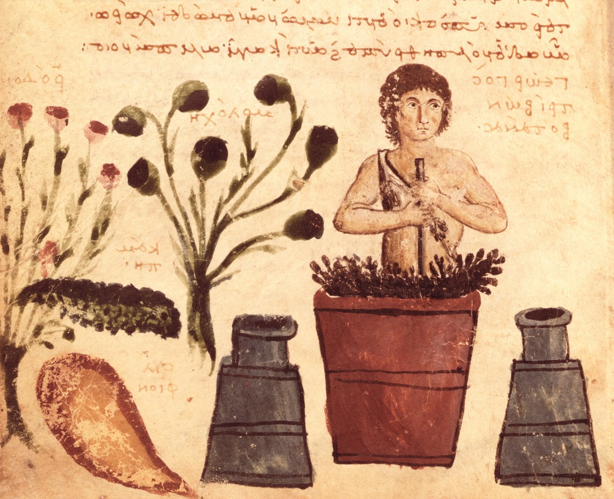 A Peasant Preparing an Ointment to Protect Against Snakes, from the ...