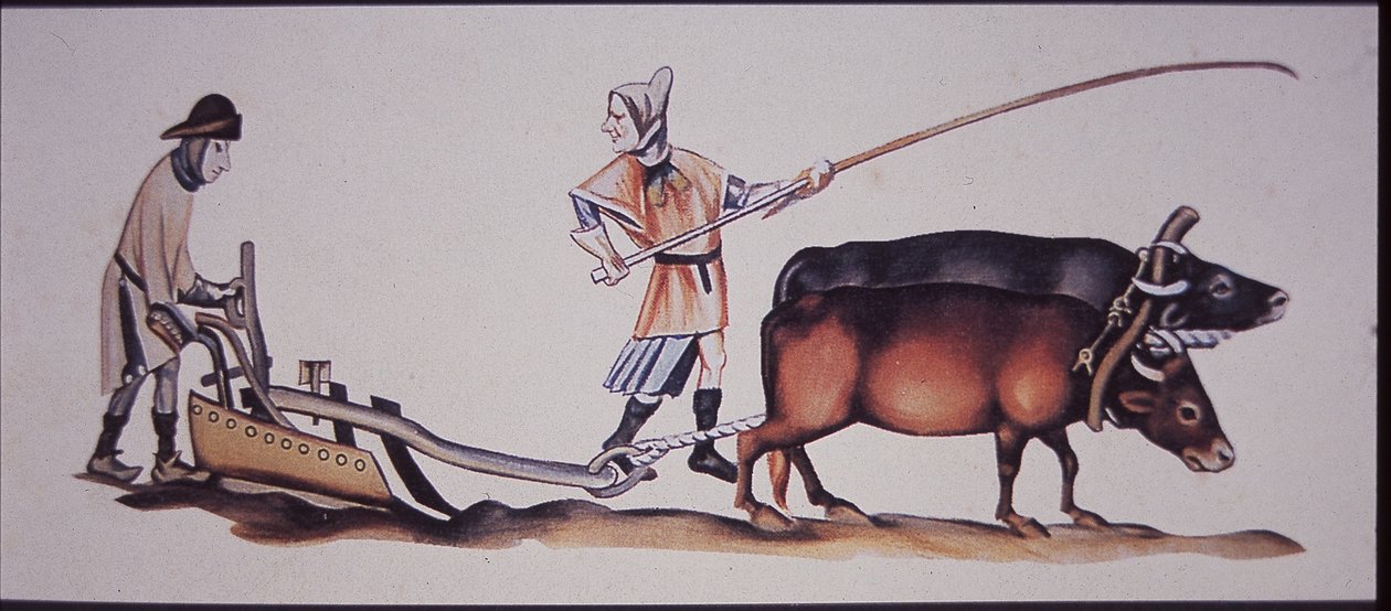Medieval Men Ploughing with Oxen, from a Scene from the Luttrell Psalter