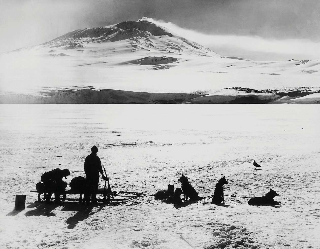South Pole expedition by Robert Falcon Scott (1868-1912), explorers ...
