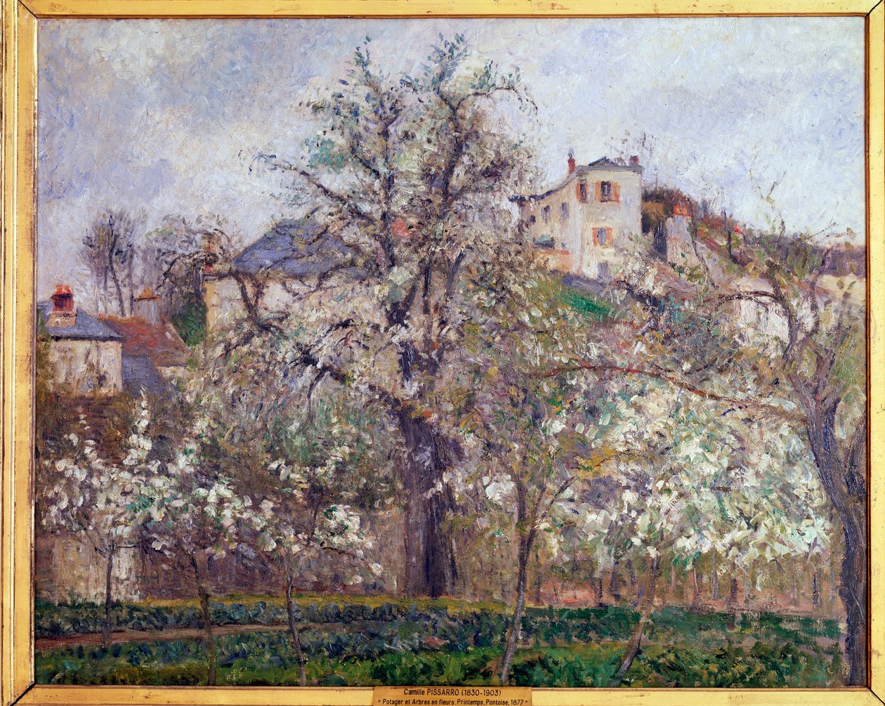 Spring, Plum Blossoms in Pontoise by Camille Jacob Pissarro