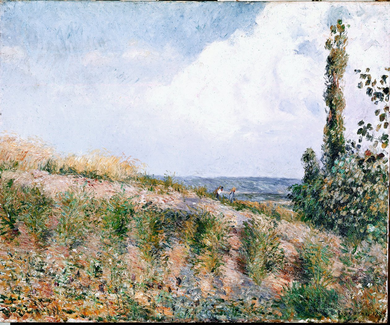 Landscape by Camille Jacob Pissarro: Buy fine art print