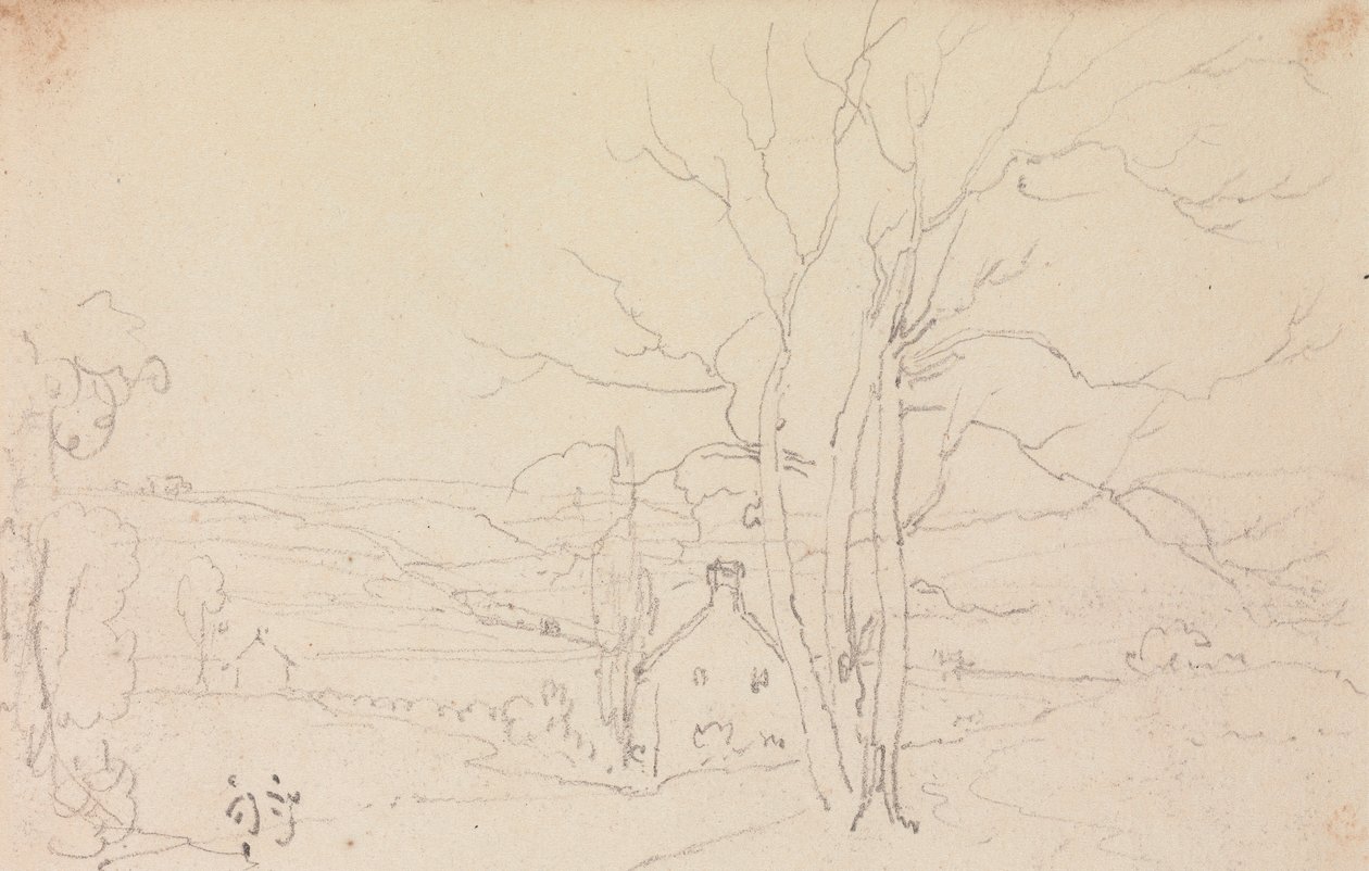 Sketch of a Large Tree and a Cottage