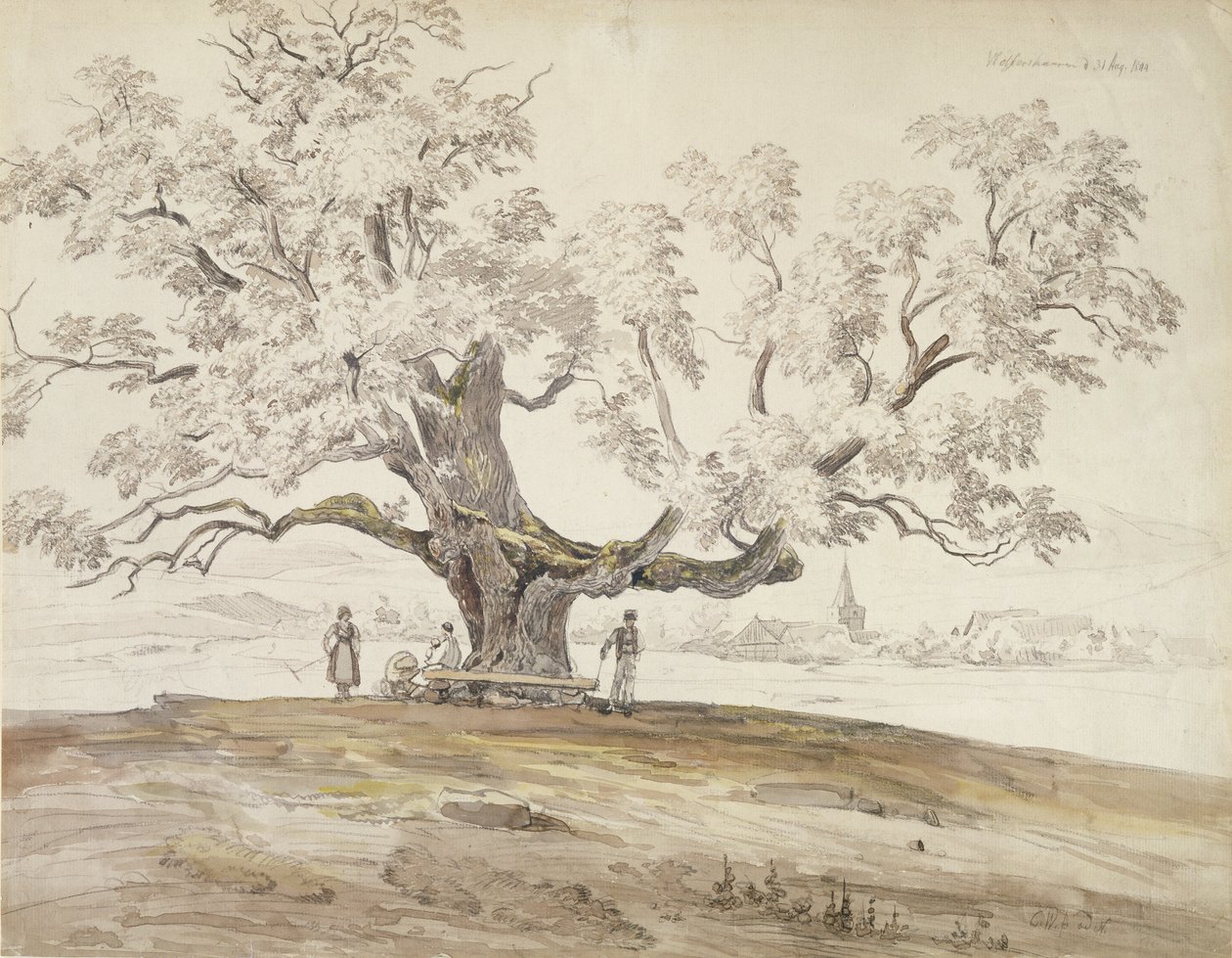 View of Wolfershausen bei Meiningen with an Old Oak Tree, 1844