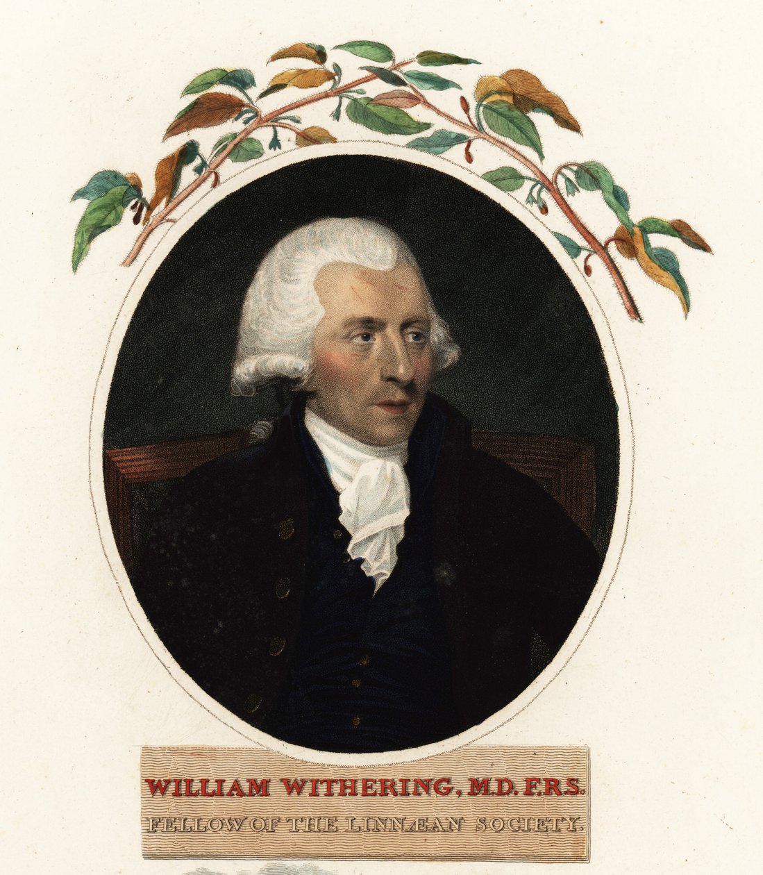 Portrait of William Withering, Physician and Botanist