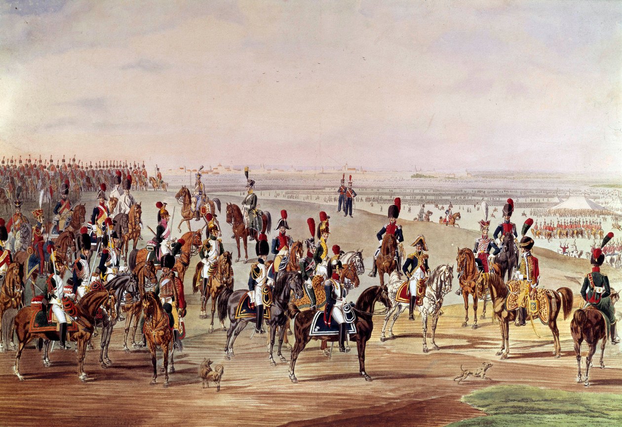 General picture of the French cavalry, circa 1809 (Illustration)