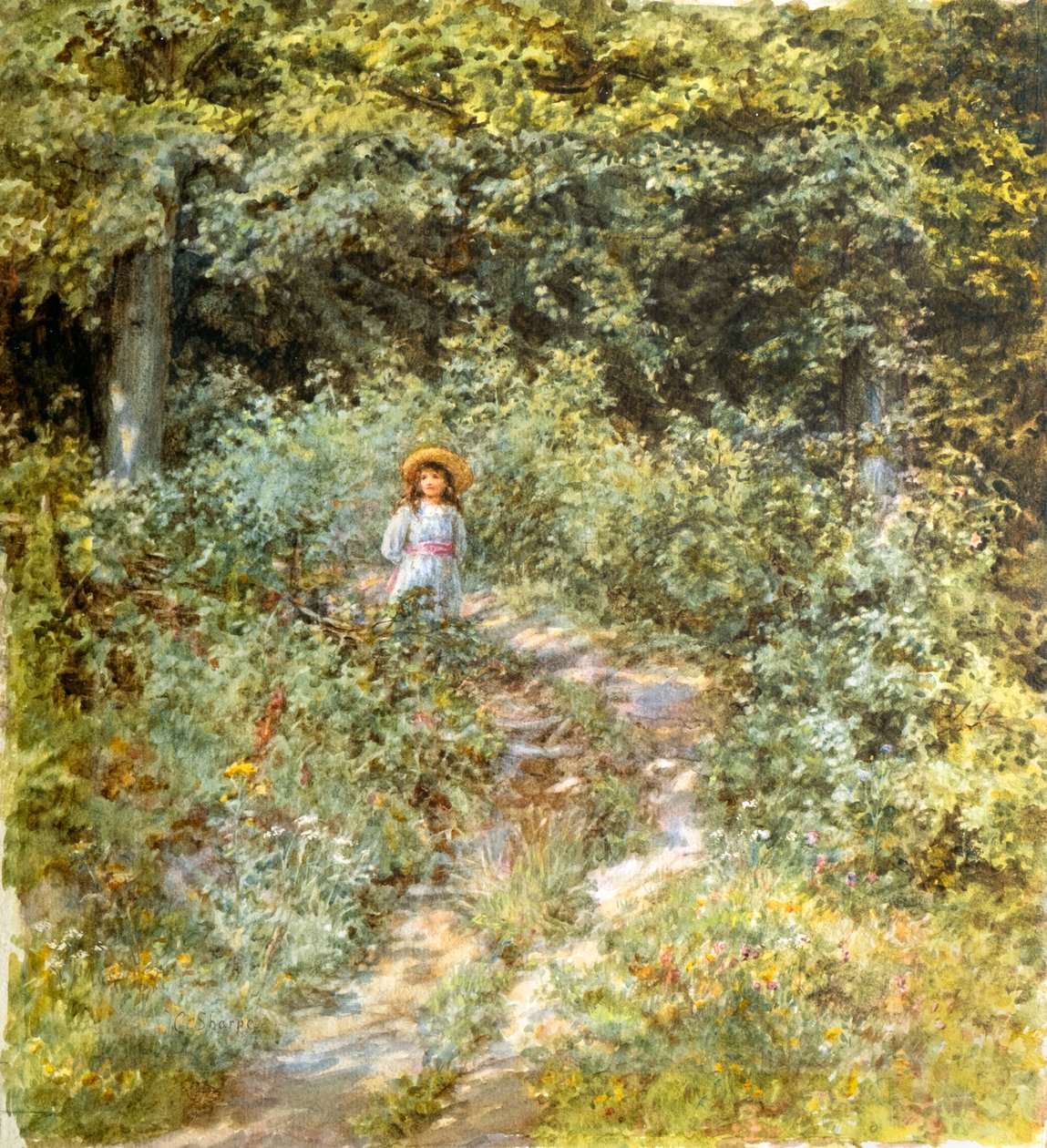 The Path through the Wood by Caroline Paterson