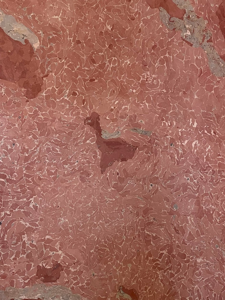 Composition - Sun by Cécile Jamet: Buy fine art print