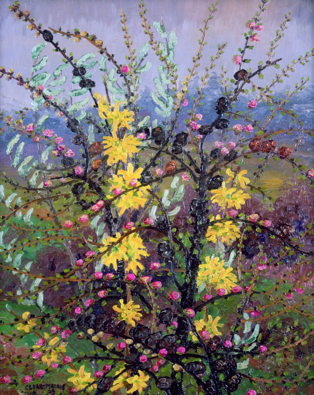 Shrubs by Cedric Morris: Highest-quality art reproduction
