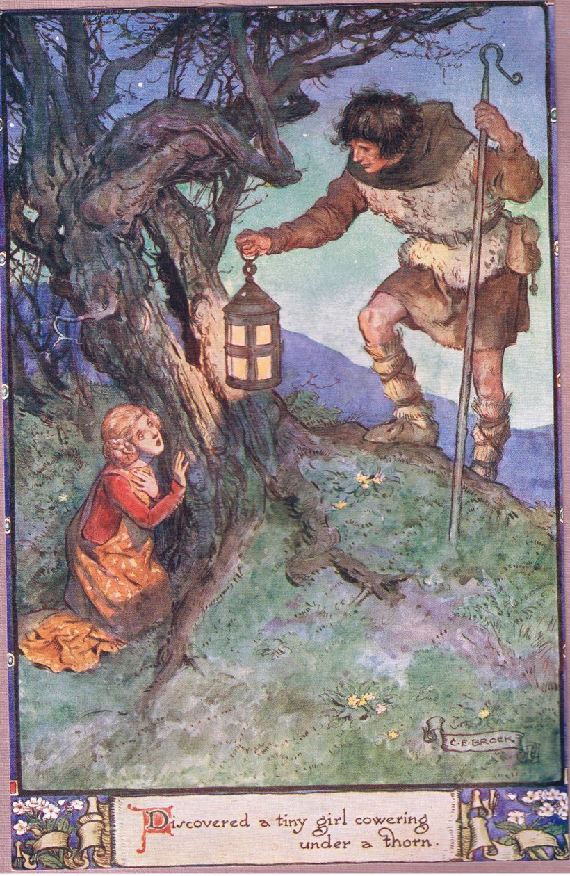 Discovered a Tiny Girl Cowering Under a Thorn Bush