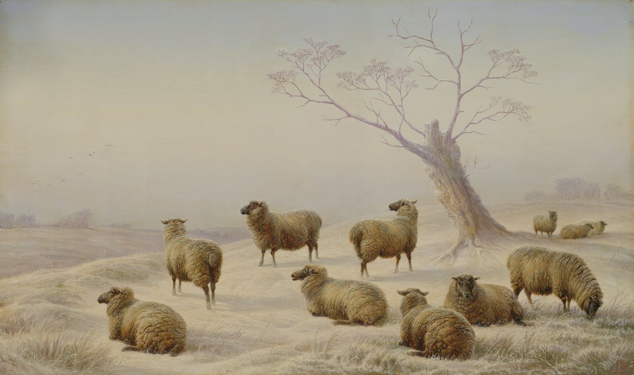 Sheep in Snow, 1880 by Charles Jones: Buy fine art print