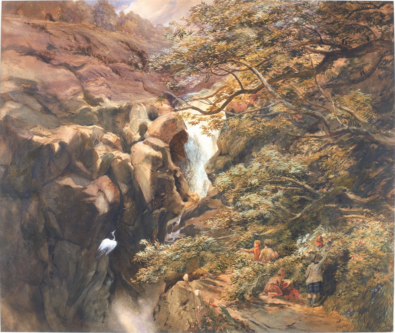 Falls of Bran by Charles Richardson: Buy fine art print