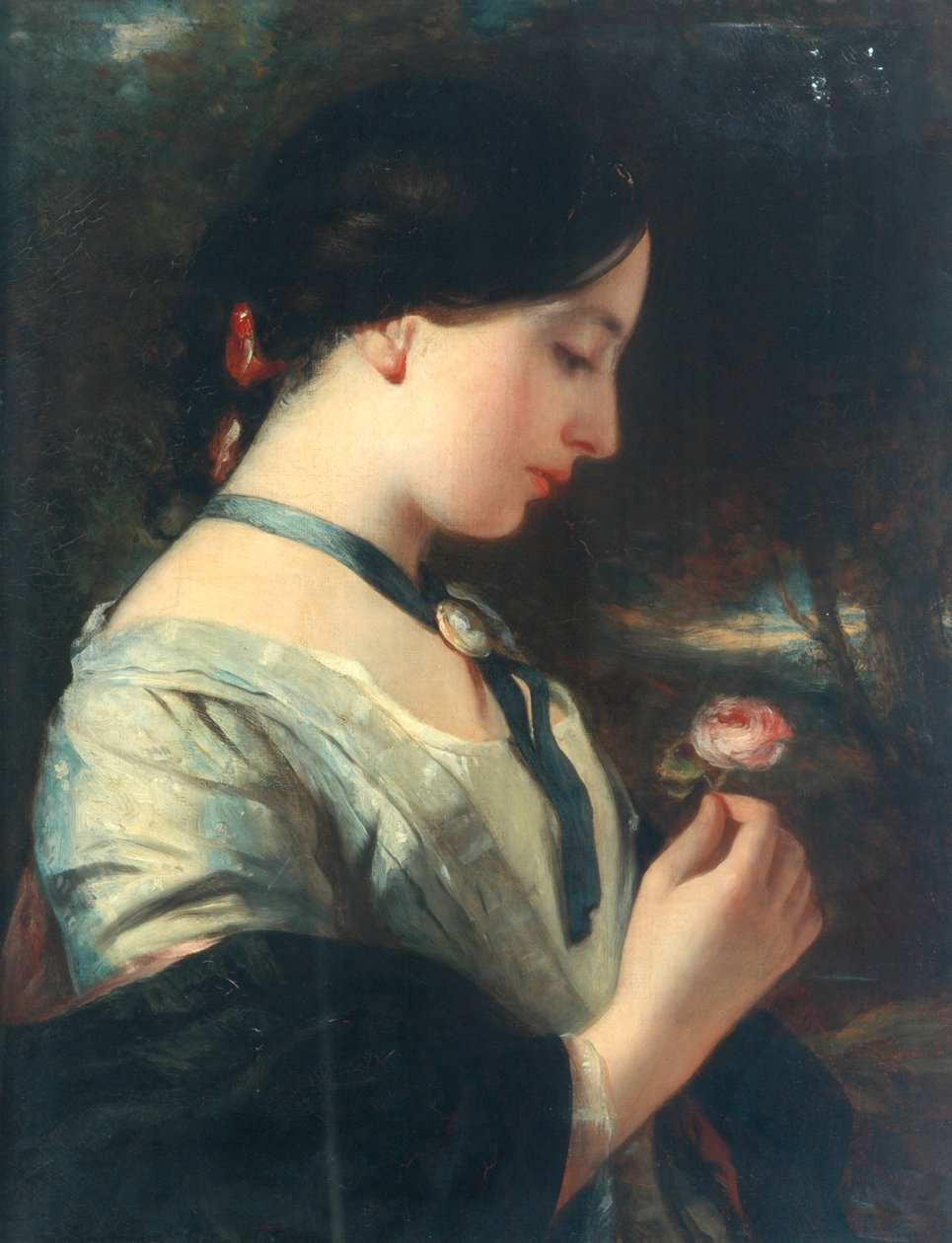 An English Rose by Charles Baxter: Buy fine art print