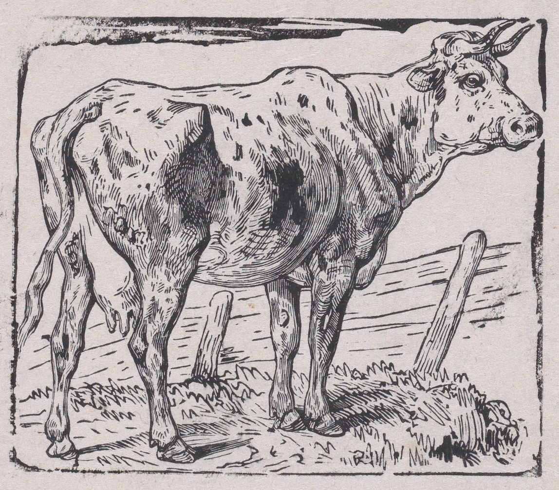 A Cow, ca. 1853 by Charles Emile Jacque: Fine art print