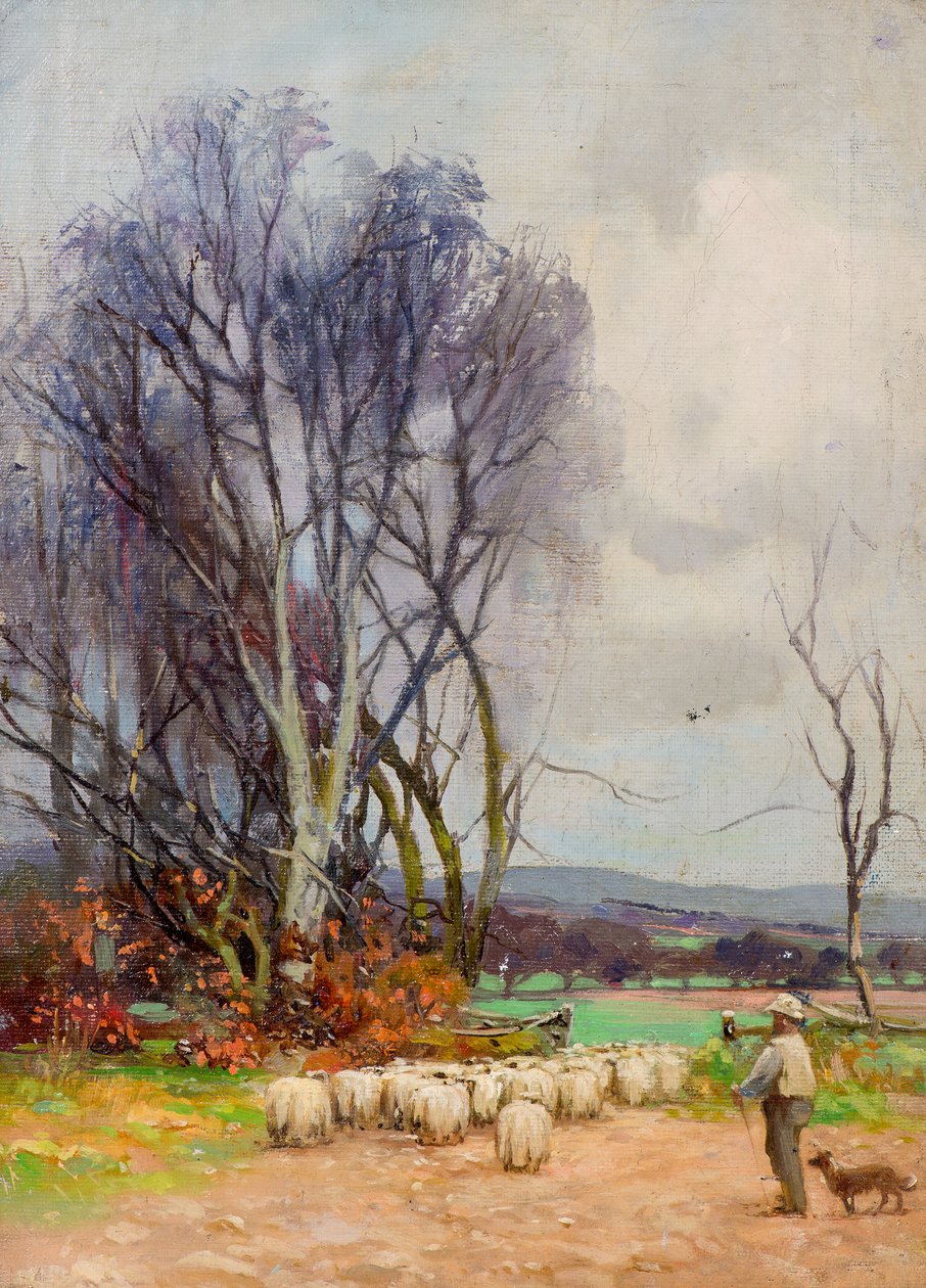 View from Strathmartine Road, Downfield, Dundee