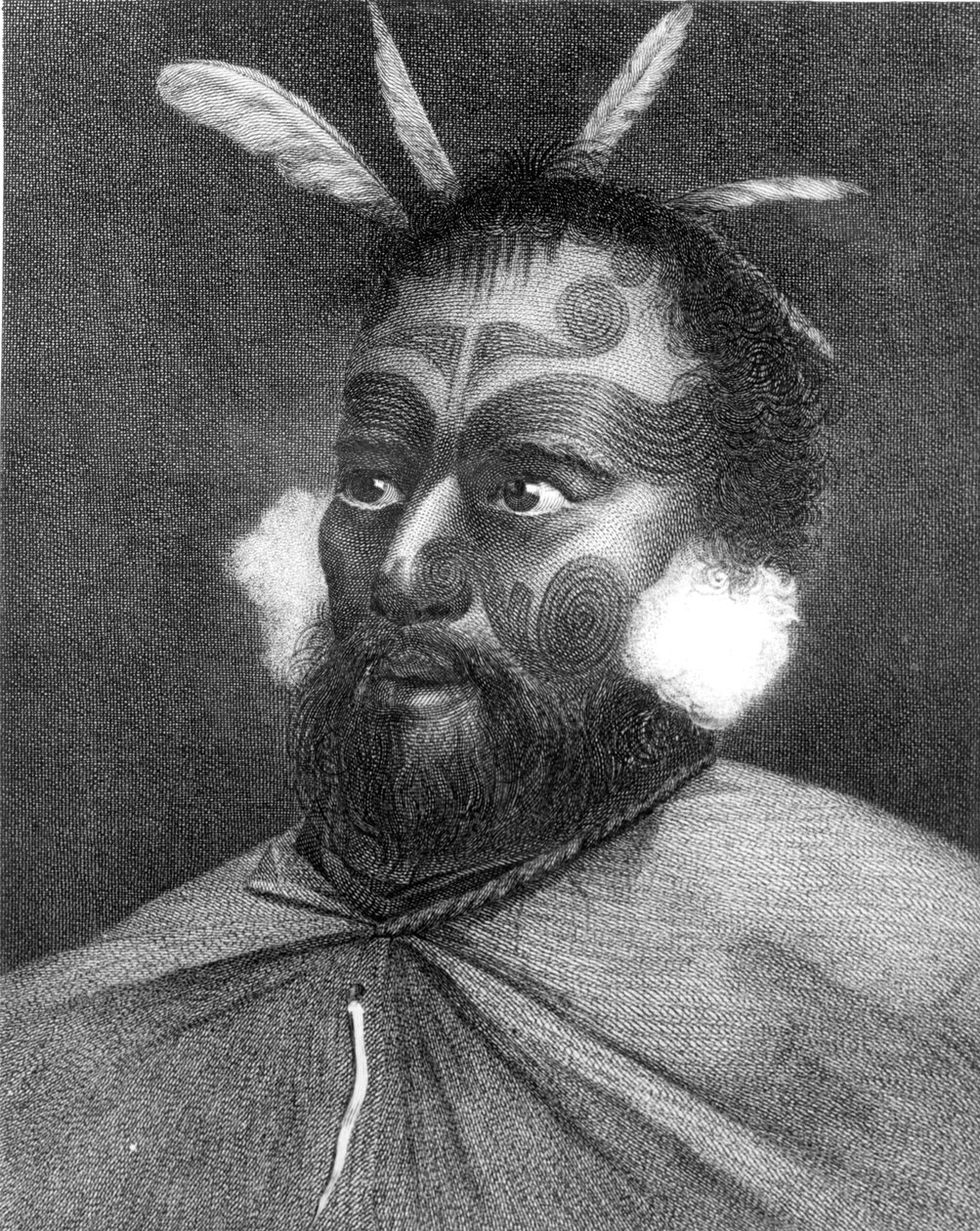 Portrait of a Man of New Zealand, illustration from 'Journey Round the ...