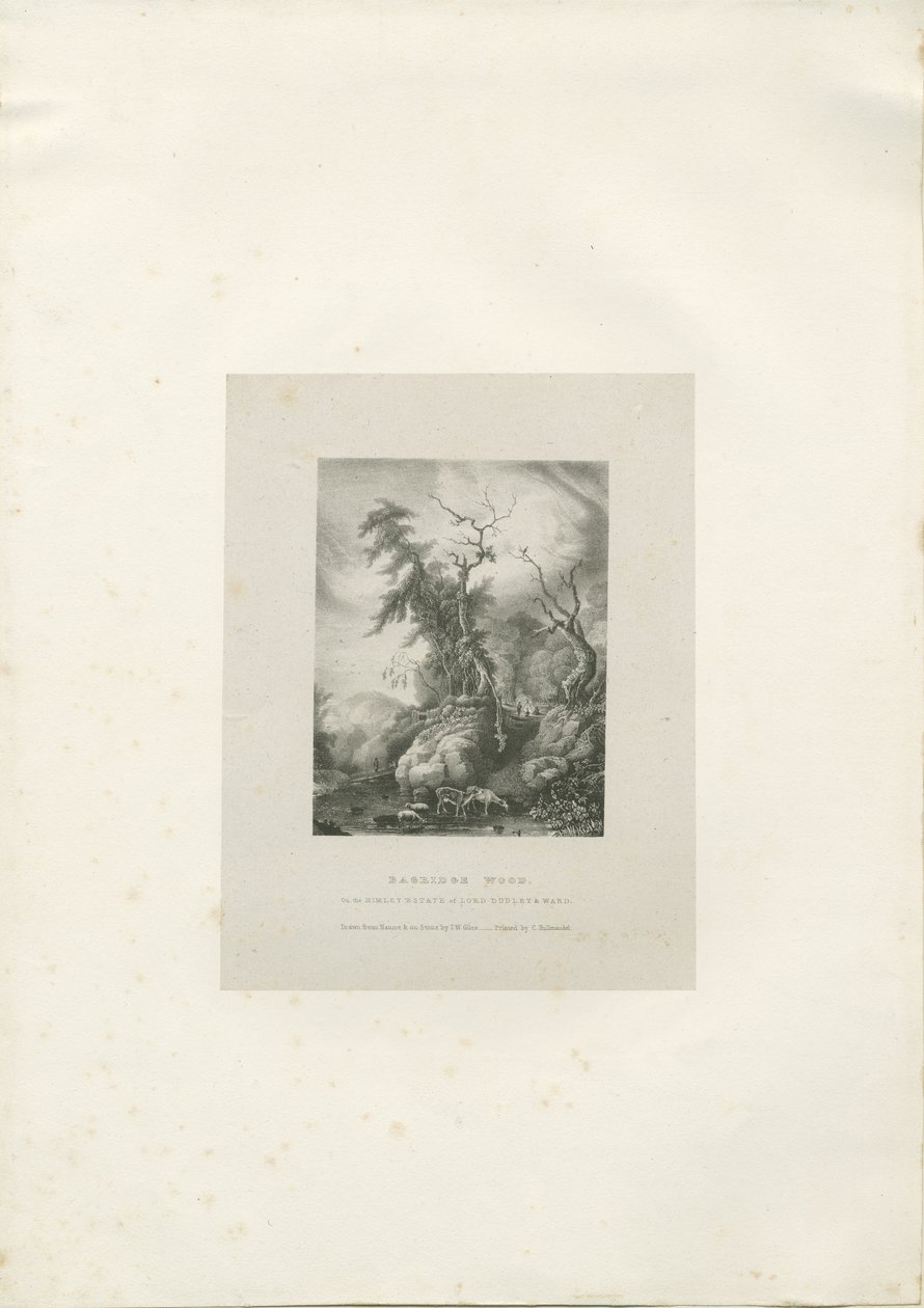Himley Estate - 'Bagridge Wood': Lithograph, nd [1789-1850]