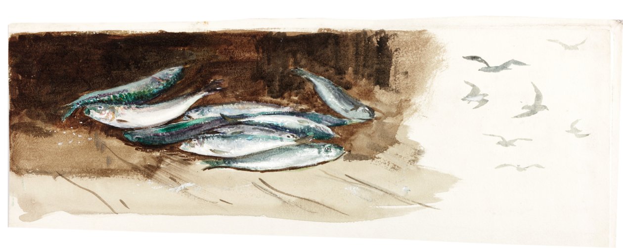 Study of Fish by Charles Napier Hemy: Buy fine art print