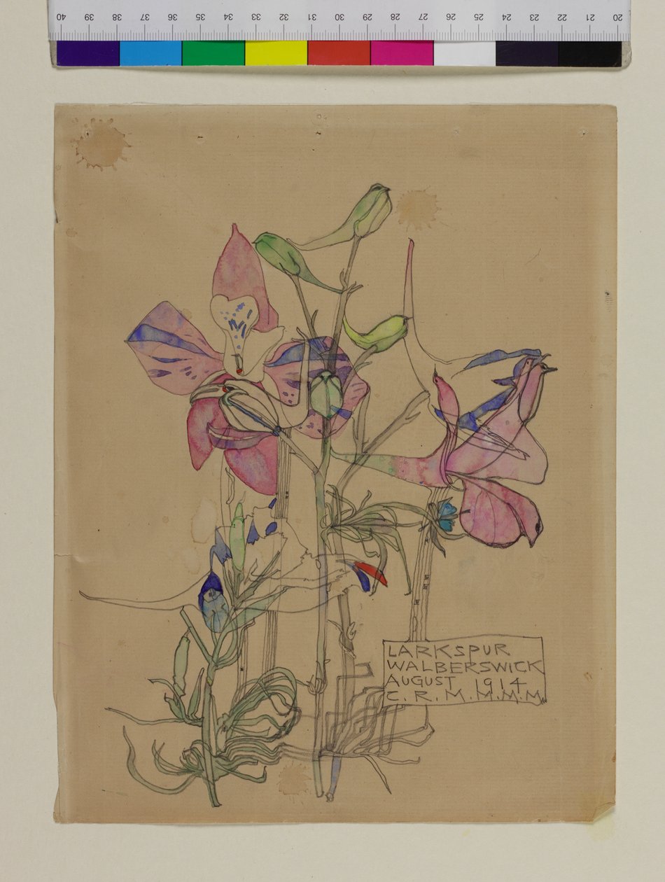 Larkspur, 1914 by Charles Rennie Mackintosh