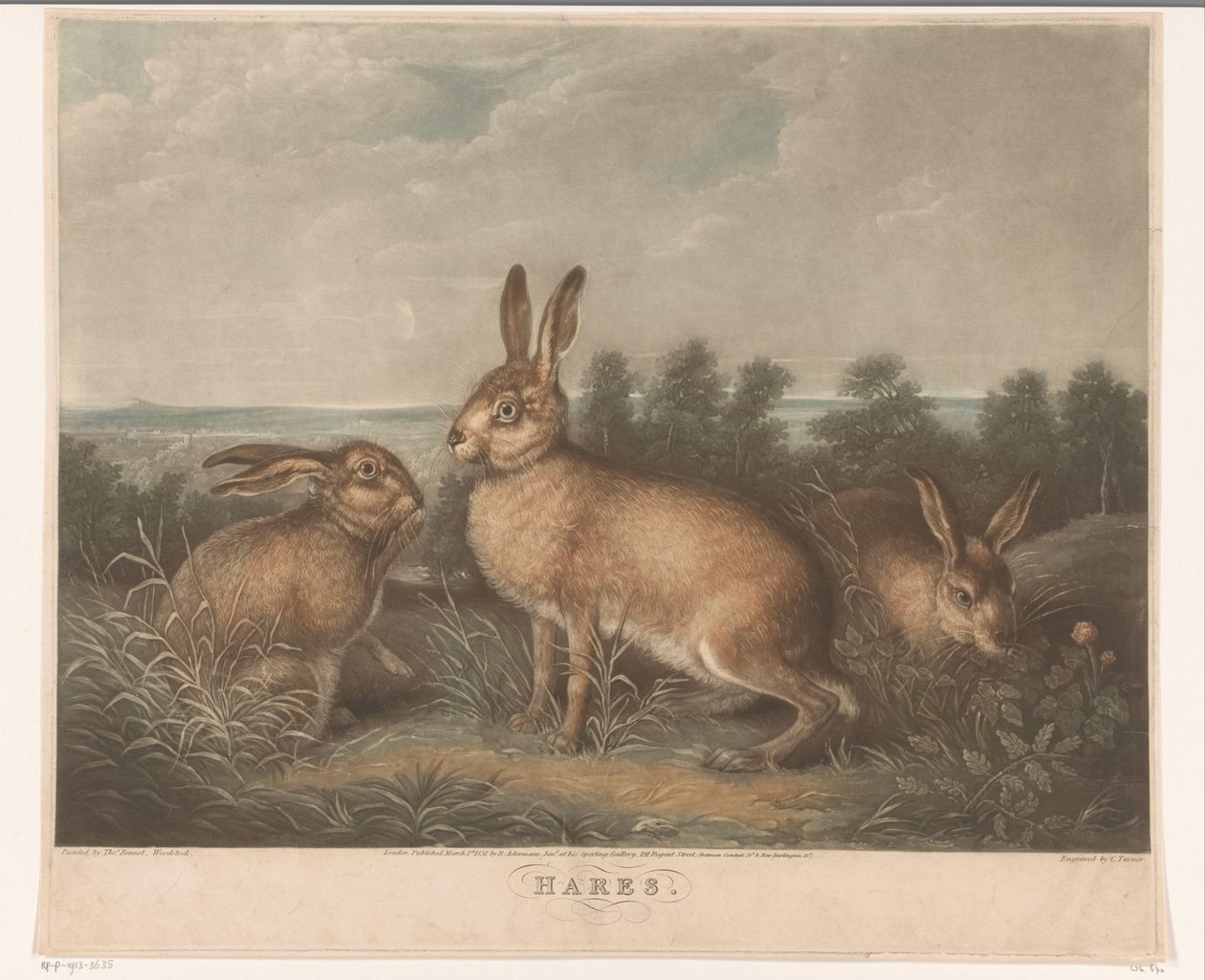 Three Hares by Charles Turner: Buy fine art print