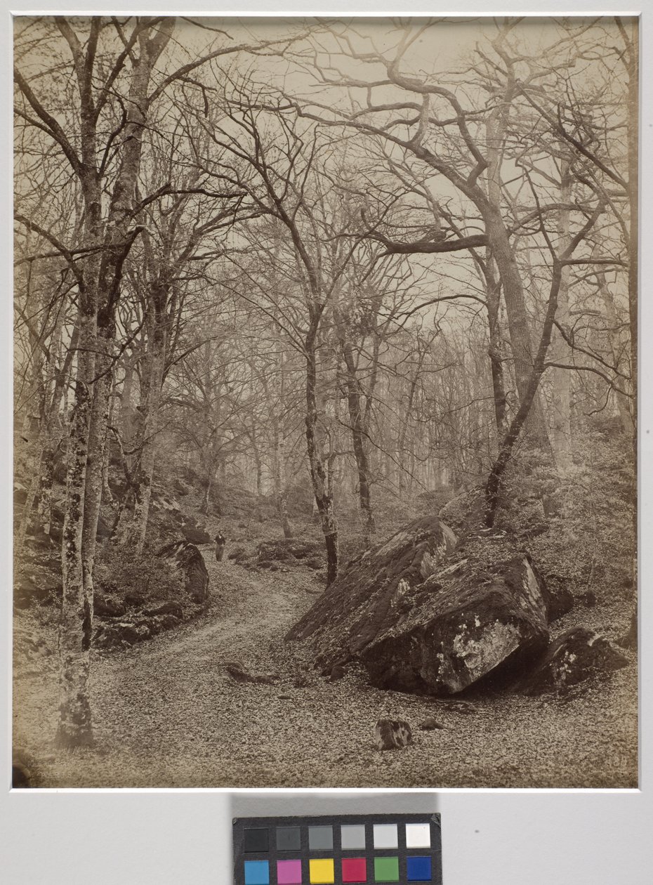 Fontainebleau by Charles Victor Famin: Buy fine art prints