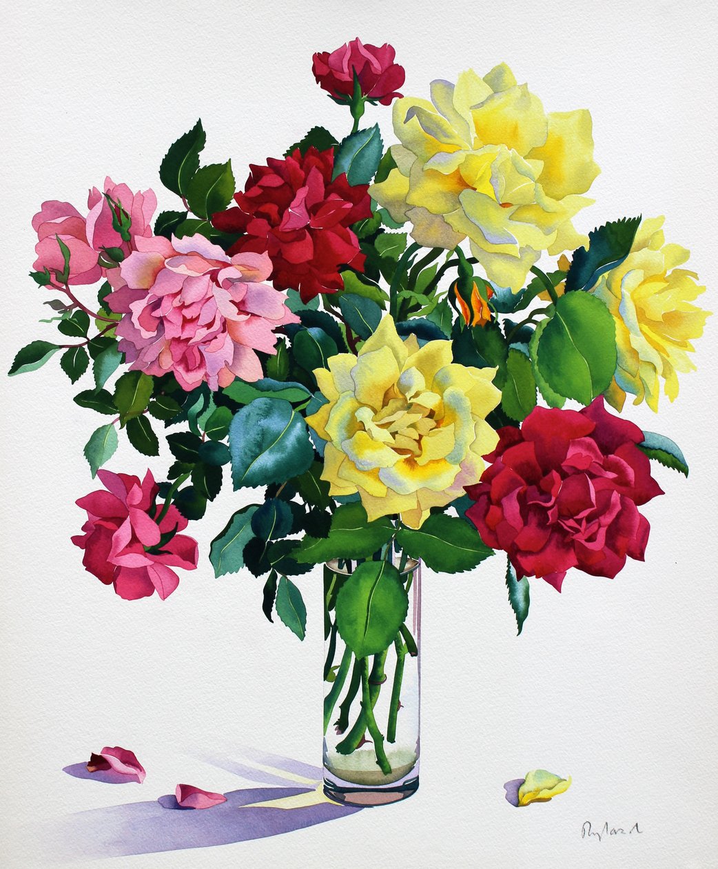 June Roses by Christopher Ryland: Buy fine art print