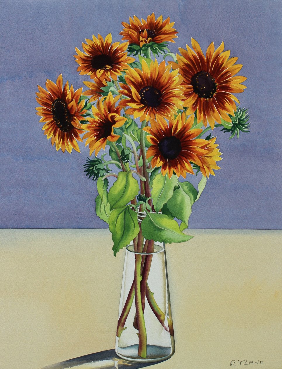 Sunflowers by Christopher Ryland: Buy fine art print