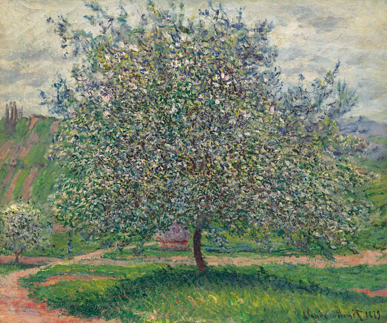 The Apple Tree by Claude Monet: Buy fine art print